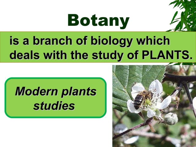 Lec 1 intro to botany | PPT