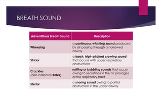 rehabilitation in physical therapy (pulmo) | PPTX