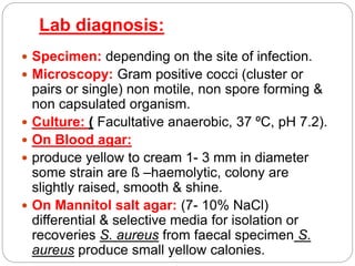 Lec (1) - staphylococus.pptx