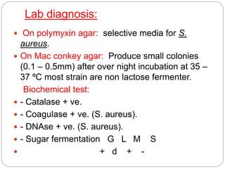 Lec (1) - staphylococus.pptx