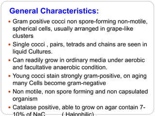 Lec (1) - staphylococus.pptx