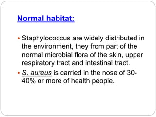 Lec (1) - staphylococus.pptx