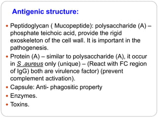 Lec (1) - staphylococus.pptx