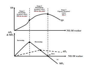 The production process: The behavior of profit – maximizing firms | PPTX