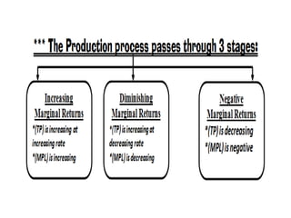 The production process: The behavior of profit – maximizing firms | PPTX