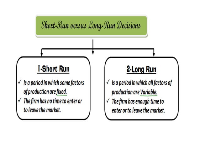 The production process: The behavior of profit – maximizing firms | PPTX