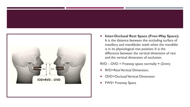Maxillo-mandibular relation | PDF | Dental Health | Diseases and Conditions