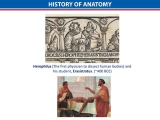 LEC 10 - Introduction to Human Anatomy.pdf
