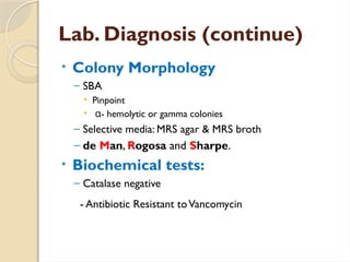 Lec (10) - Lactobacillus lecture note.pptx