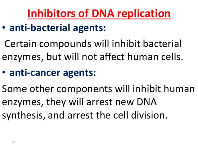 Lec 10 level 3-de (dna structure and replication)