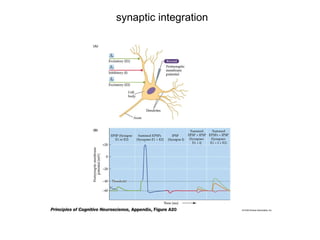 COGS 107B - Winter 2010 - Lecture 1 - Introduction & review of brain electrical potentials | PPT