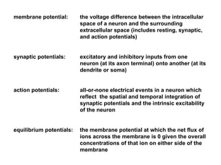 COGS 107B - Winter 2010 - Lecture 1 - Introduction & review of brain ...