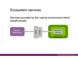 Ecosystem Services | PPT