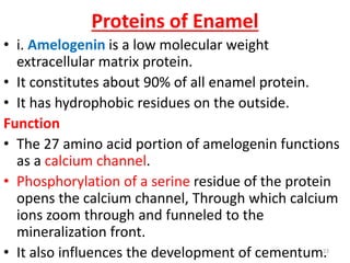 Lec 10, 11 level 4-de (biochemistry of teeth, saliva and dental caries ...