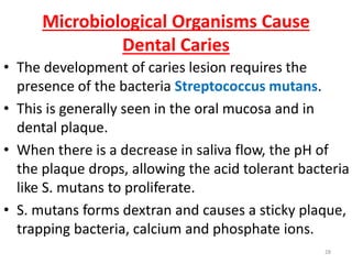 Lec 10, 11 level 4-de (biochemistry of teeth, saliva and dental caries ...