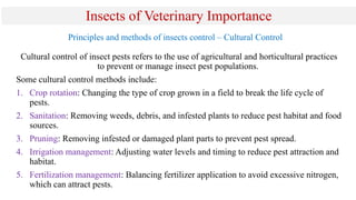 Cultural Control. How Insect controlled culturally? | PPTX