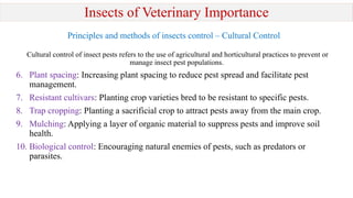 Cultural Control. How Insect controlled culturally? | PPTX