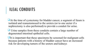 lec 10 Cytology of urinary tract full lecture | PPTX