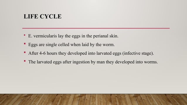 Lec 10 Enterobiusb manahagahabnzzbbzbzbz | PPT