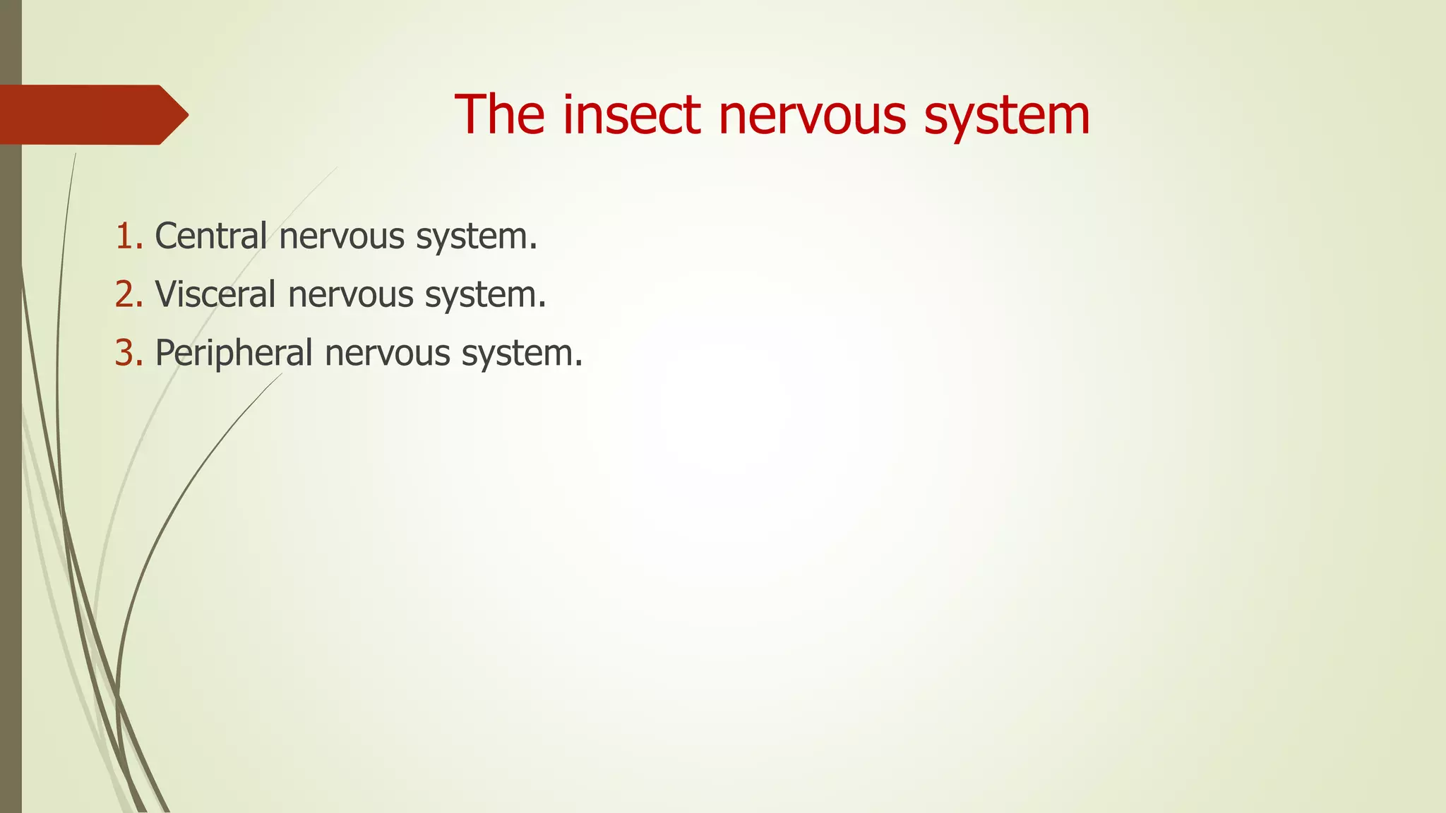 Insect Nervous System | PPTX