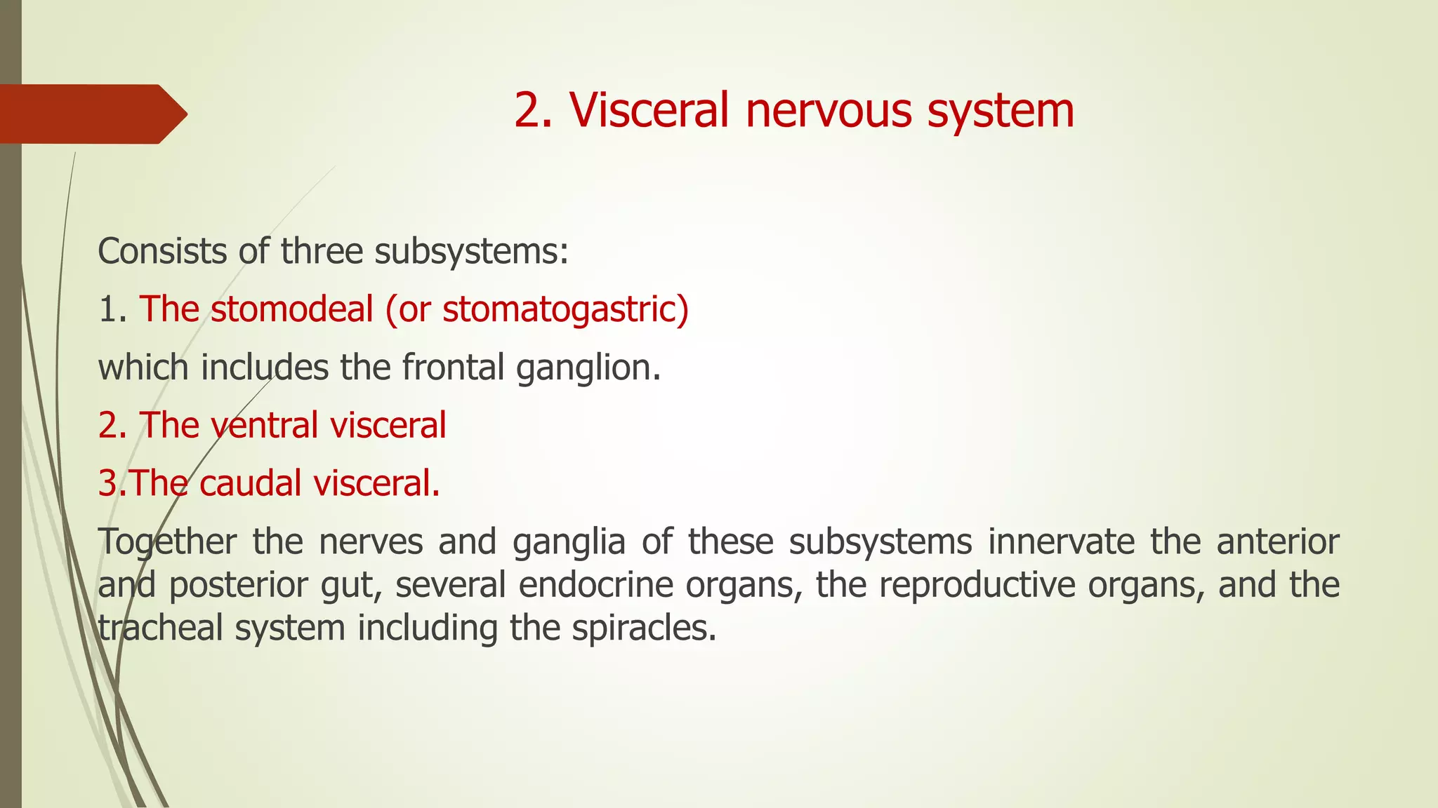 Insect Nervous System | PPTX