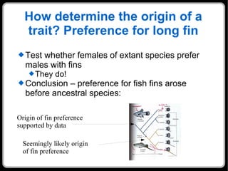 Lec 10 Phylogenies And Origin Of Behaviors | PPT