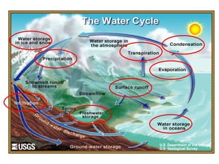 Lec 11-12 Hydrosphere, and Water Cycle.pptx