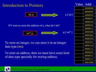 Computer Programming- Lecture 11 | PPT | Programming Languages | Computing