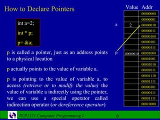 Computer Programming- Lecture 11 | PPT | Programming Languages | Computing