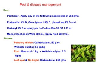 Lec 11.SST201-Greengram & blackgram seed production.pptx