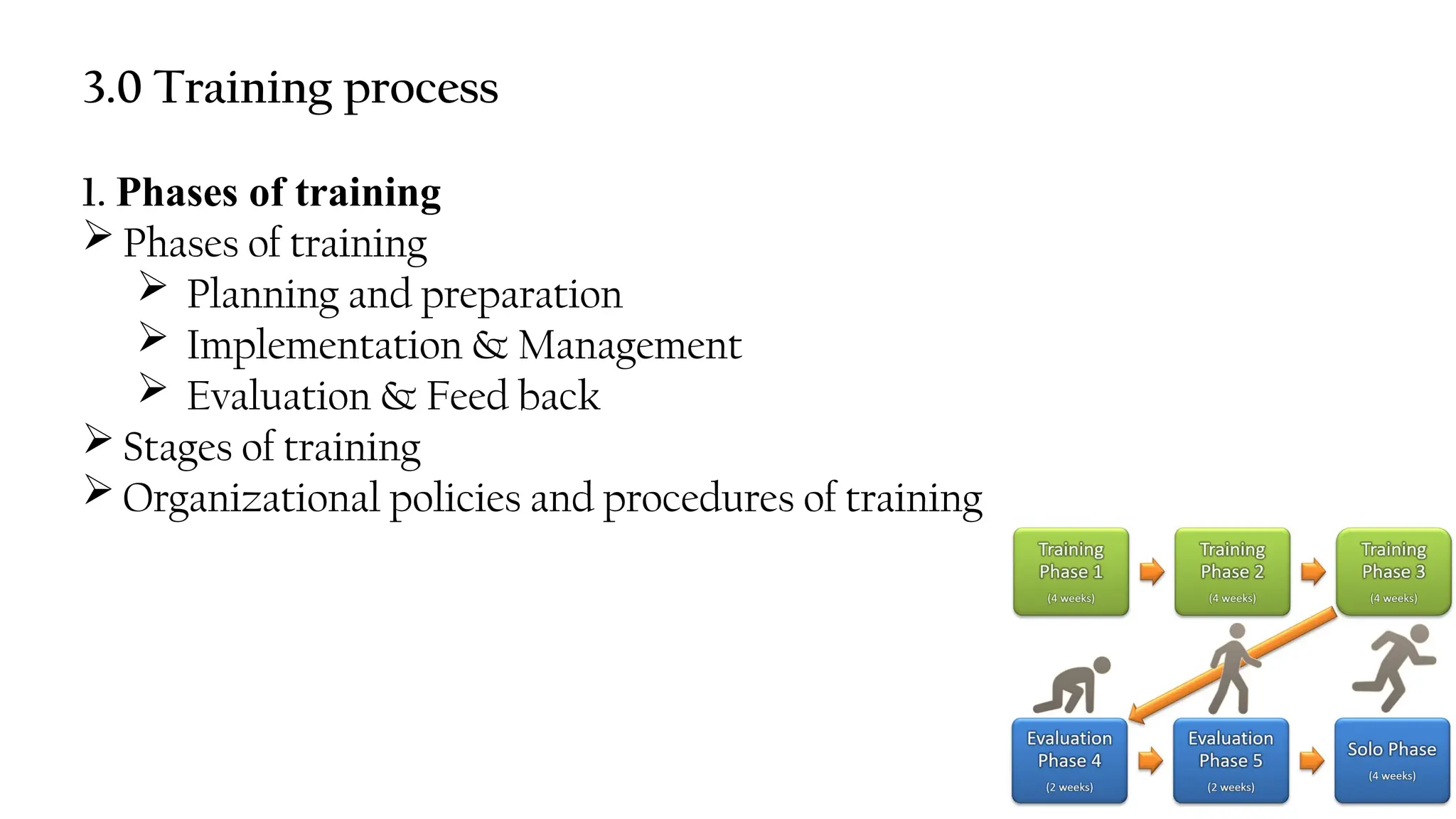 phases of training phases of training .pptx
