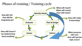 phases of training phases of training .pptx
