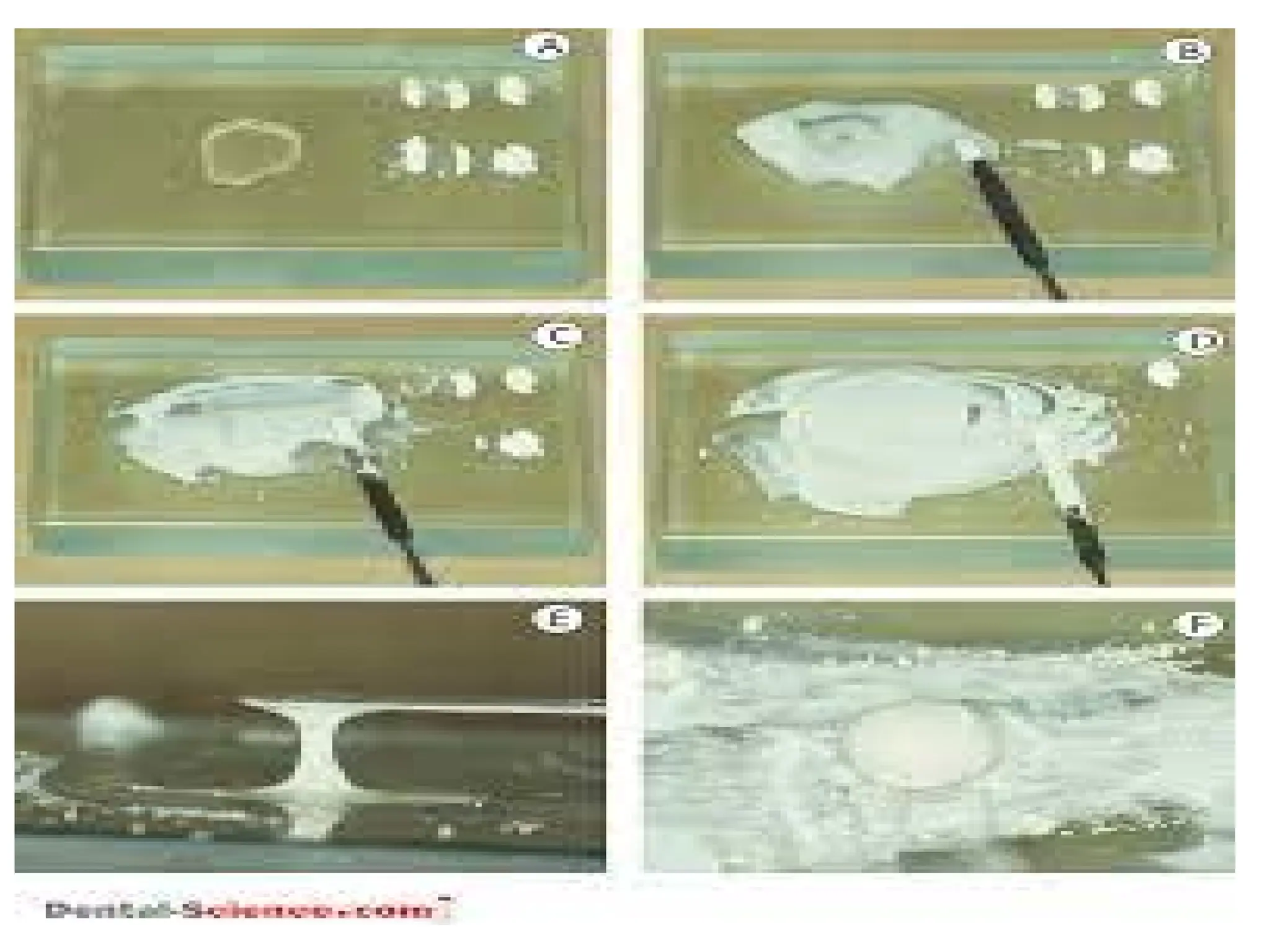 Cement bases and types of cement and application of each of them | PDF