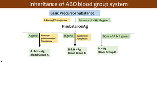 Blood groups.pptx