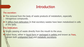 lec11insectexcretorysystem-200829201401.pdf