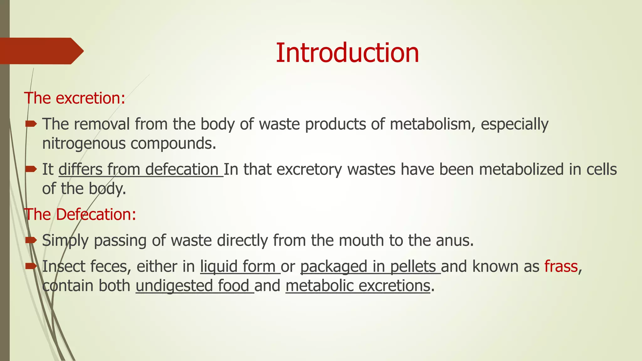 Insect Excretory System | PPTX