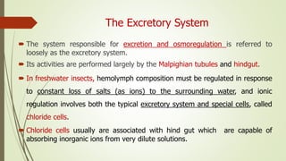 Insect Excretory System | PPTX