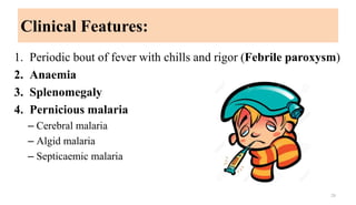 Malaria | PPTX