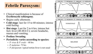 Malaria | PPTX