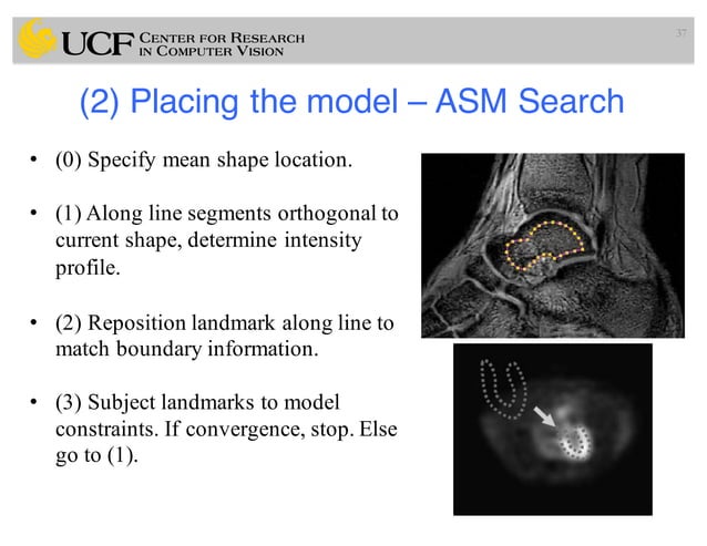 Lec12: Shape Models and Medical Image Segmentation | PPT