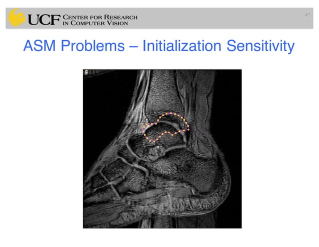 Lec12: Shape Models and Medical Image Segmentation | PPT
