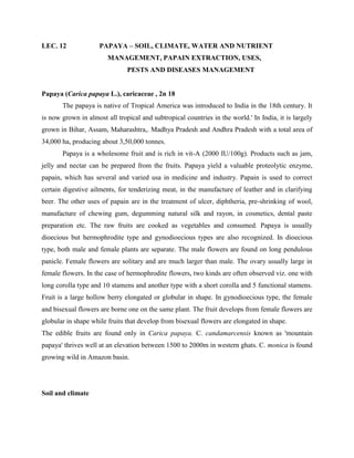 PAPAYA | PDF | Gardening | Home & Garden