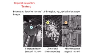 Lec 12.pptxxzxxxxxxxxxxxxxxxxxxxxxxxxxxxxxxxxxxxxxxxxxxxxxxxxxxxxxxx | PPT