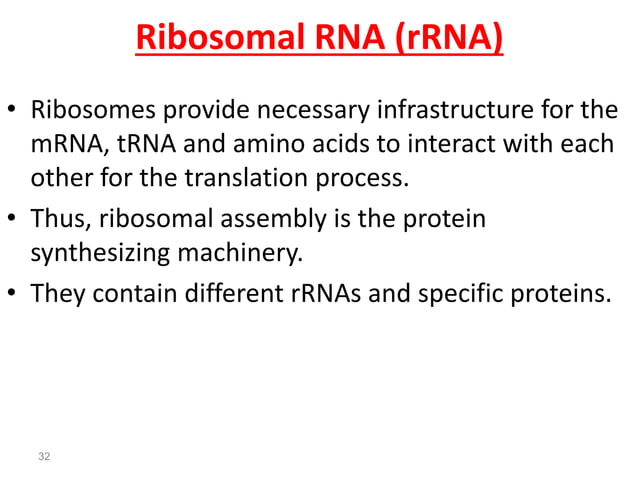 Lec 12 level 3-nu (gene expression and synthesis of protein) | PDF