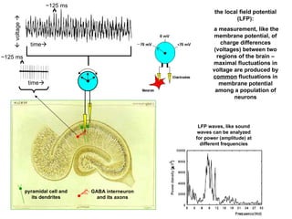 COGS 107B - Winter 2010 - Lecture 12 - control and function of sleep ...
