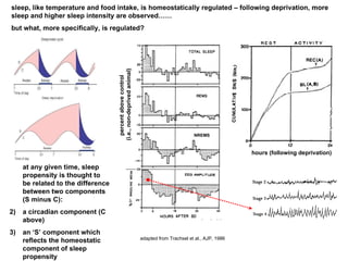 COGS 107B - Winter 2010 - Lecture 12 - control and function of sleep ...