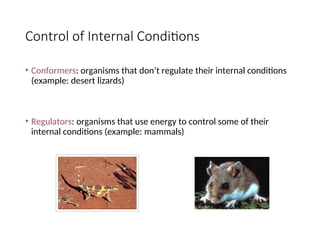 Lec 1(2) (1).ppt Environment introduction | PPT | Free Download