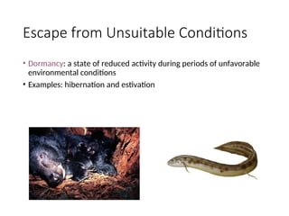 Lec 1(2) (1).ppt Environment introduction | PPT