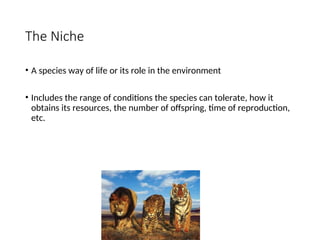 Lec 1(2) (1).ppt Environment introduction | PPT