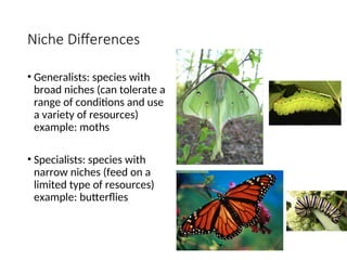 Lec 1(2) (1).ppt Environment introduction | PPT | Free Download